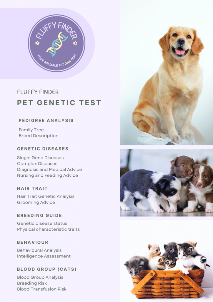 FLUFFY FINDER PET GENE TEST – Bumi Genomics